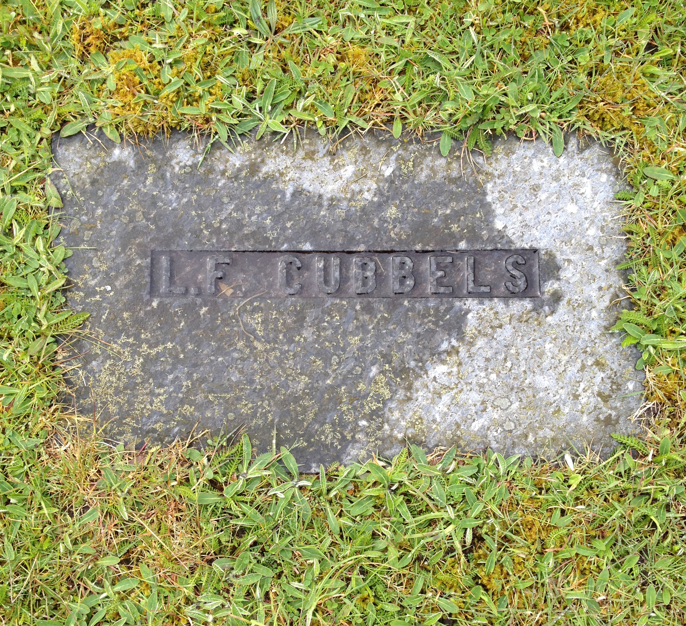 luis-cubel-2 – henryhogh