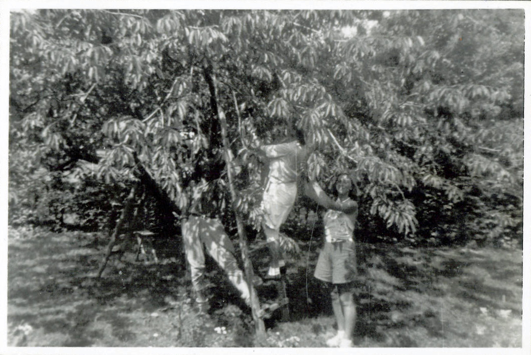 image063-3 – henryhogh