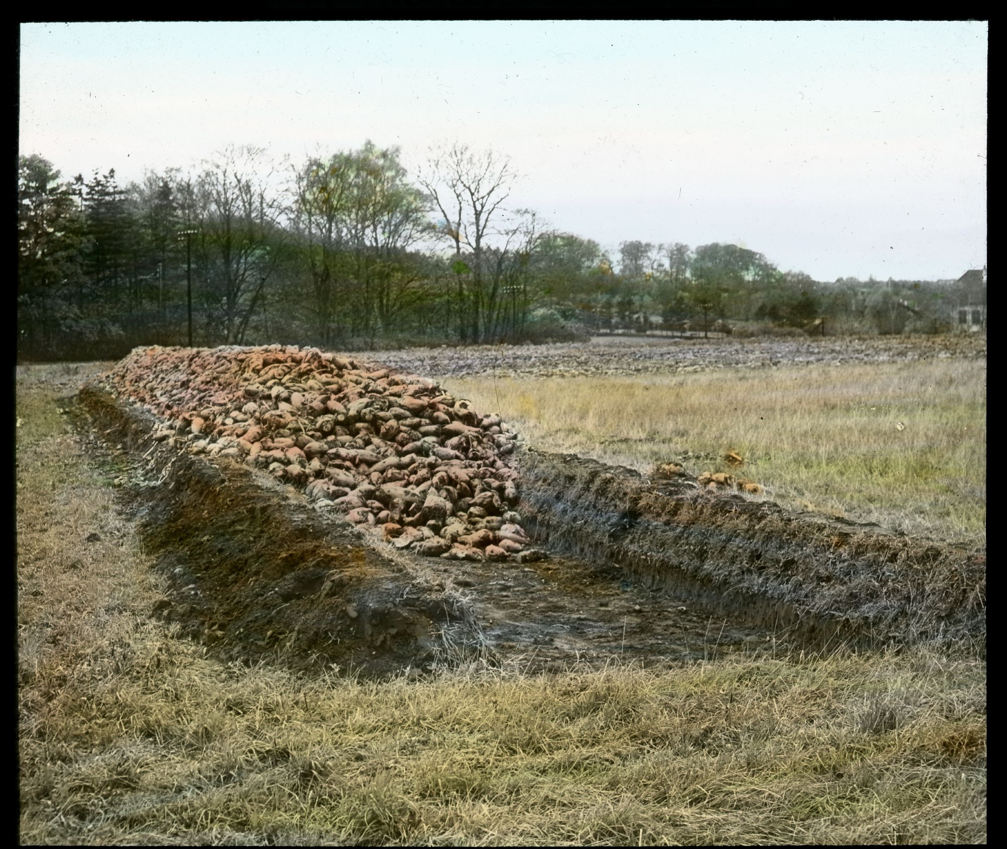 roekule – henryhogh