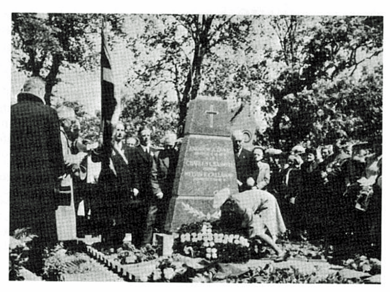 US flyvergrave på Lolland Falster – henryhogh